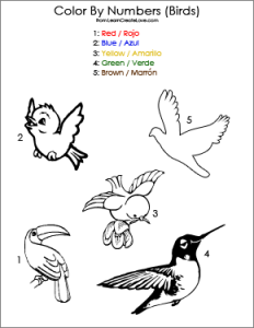 Color By Numbers – Birds