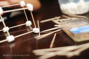 { Marshmallow & Toothpick Fun }
