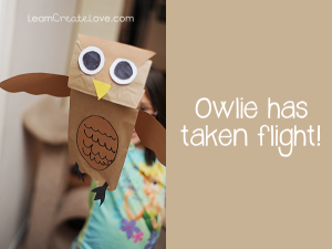 Paper Bag Owl Puppet Craft
